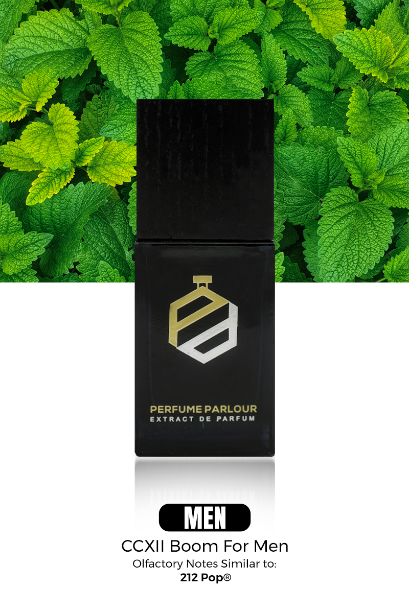 CCXII Boom For Men 1110007 | Pop® Dupe | Pop® Clone – Perfume Parlour UK